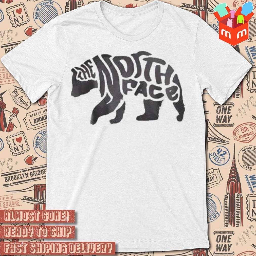 The north face bear t shirt store
